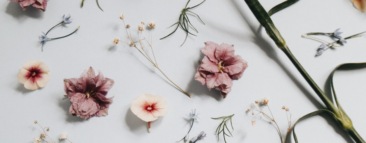 Entendendo notas de perfumes: quais são elas? | Duty Free Brasil Lojas ...